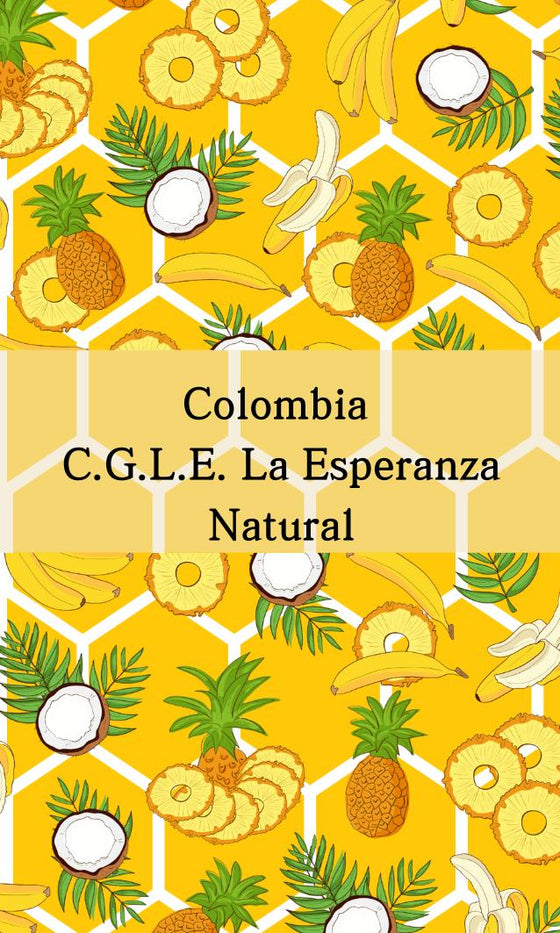 Return Coffee Roastery - Freshly Roasted in H.K.